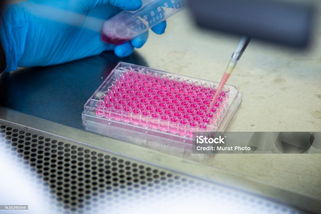 Cell Line Development - ATUM