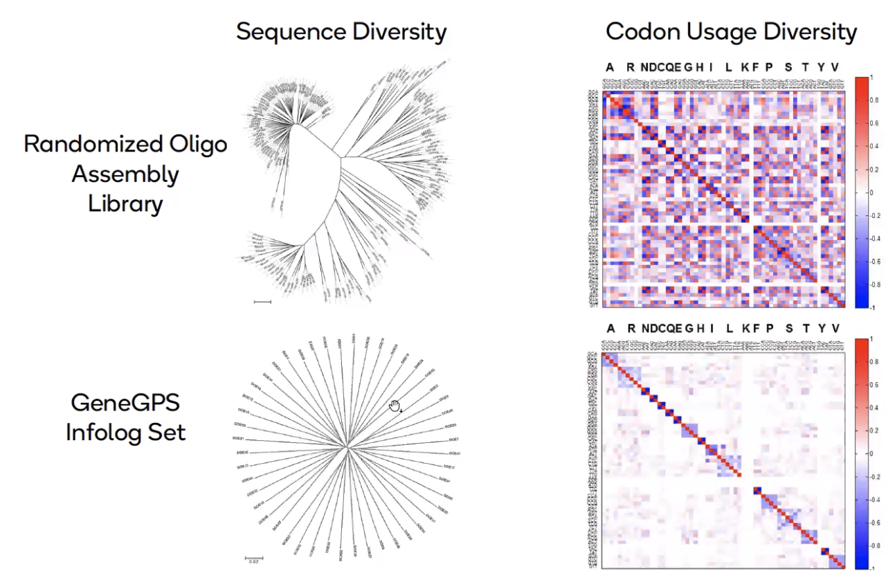 Codon Optimization - ATUM