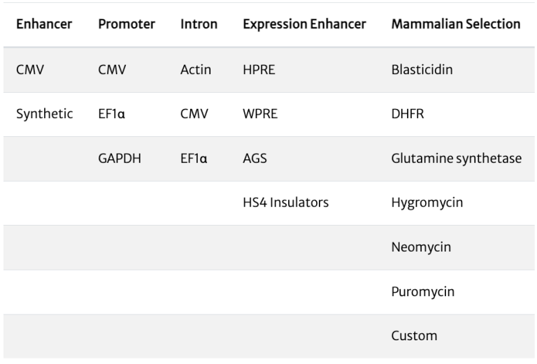 Mammalian Expression Vectors - ATUM