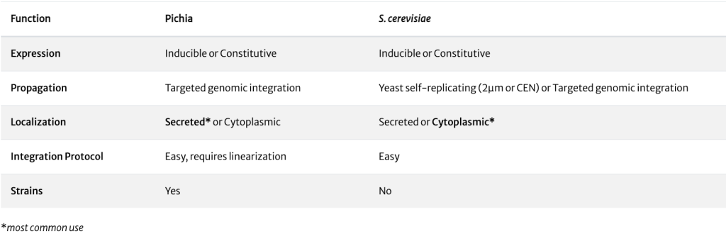 Yeast Expression Vectors - ATUM