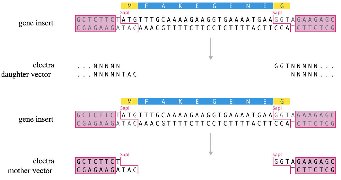 Electra System - ATUM