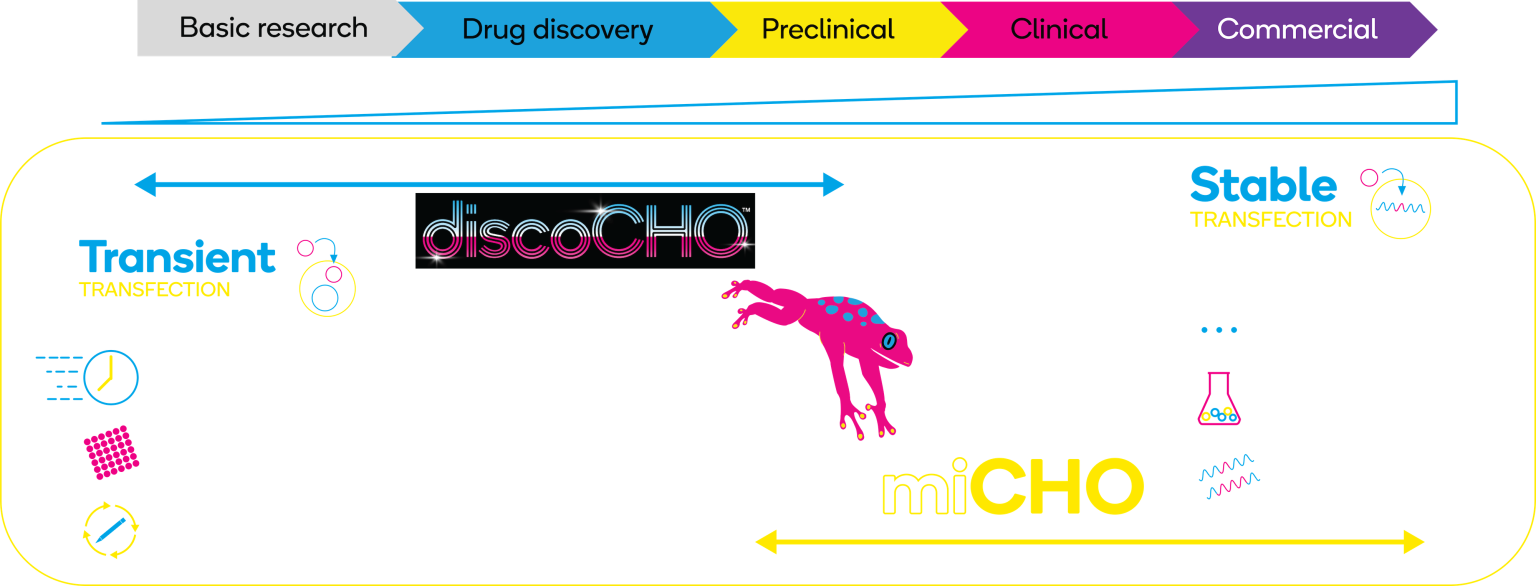 Protein Expression Services - ATUM
